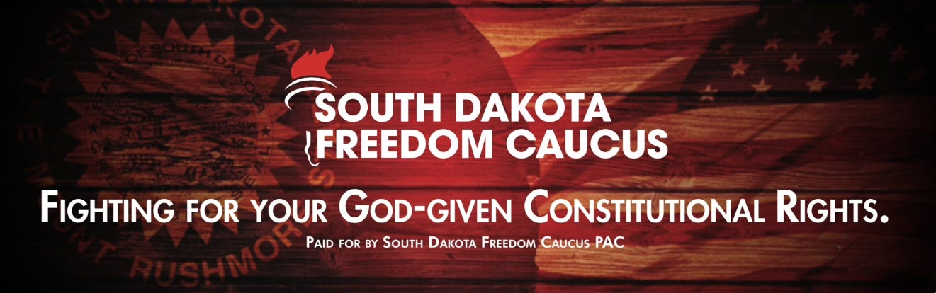 Hundreds of South Dakotans are running for Legislature. Here's the list