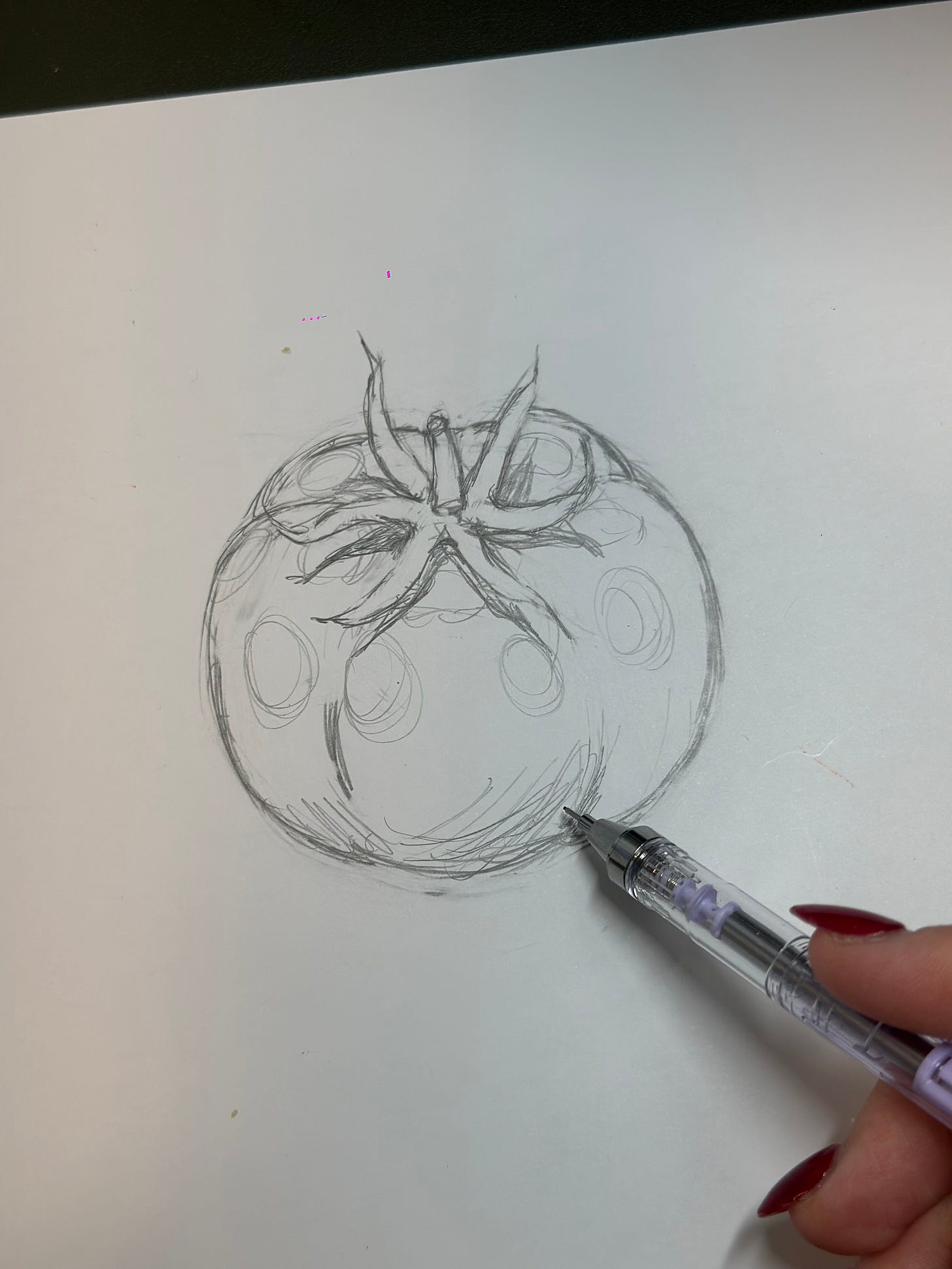 How To Draw A Tomato: Step-By-Step Guide - by Bianca Bosso