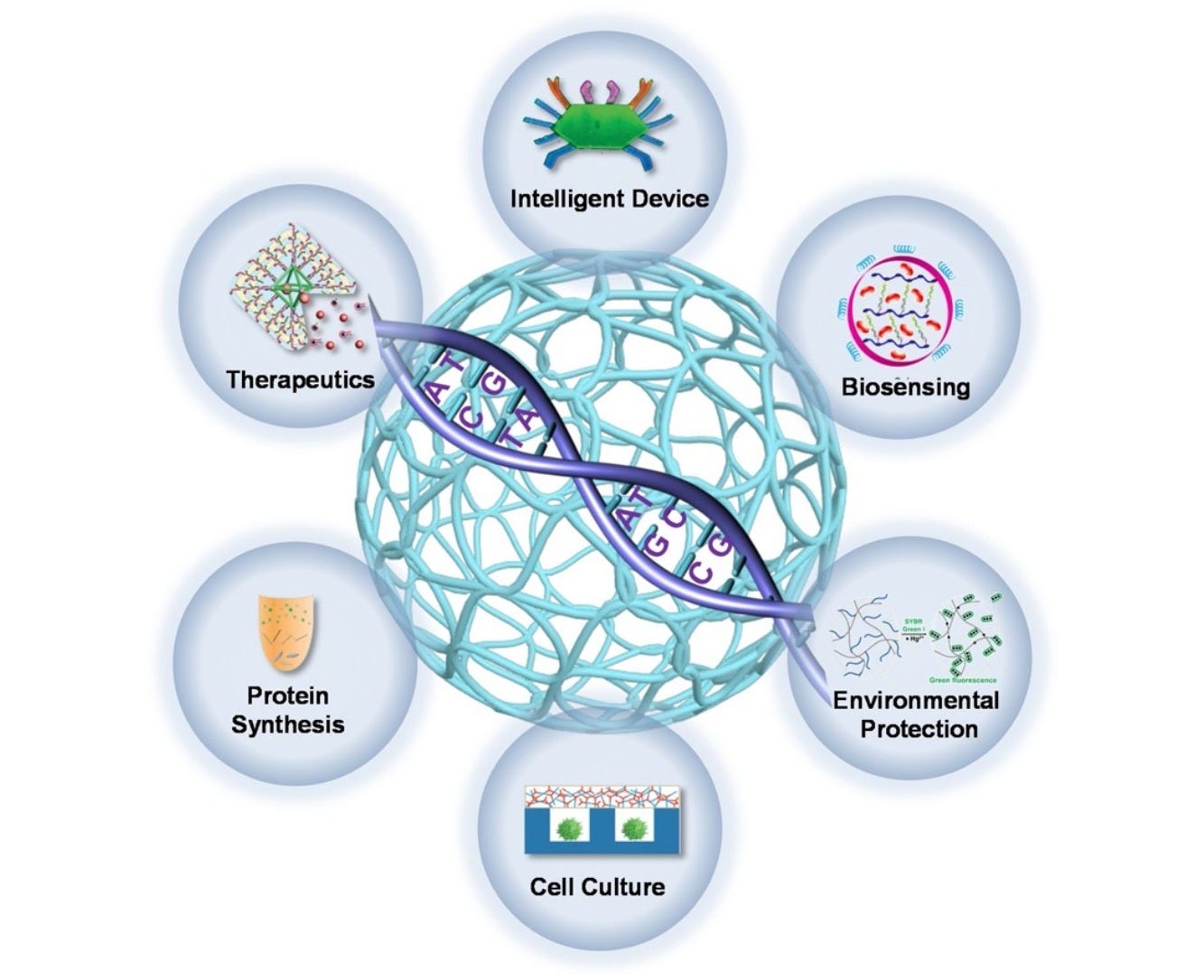 How To Create Self Assembled Nanocircuits aka Technological Devices From DNA Hydrogel, Carbon ...