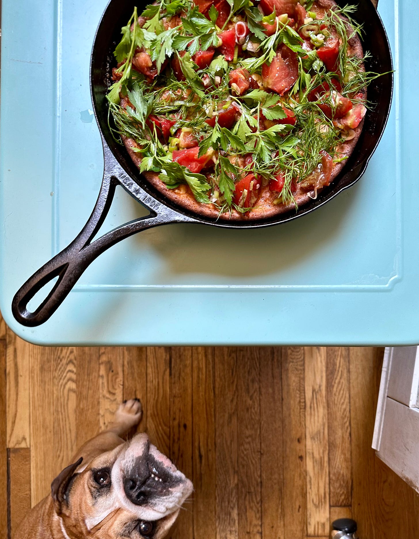 Savory Tomato & Cheese Dutch Baby - by Sohla El-Waylly