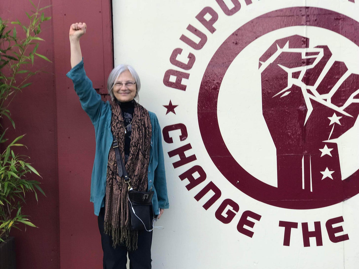 Remembering Laura Cooley, L.Ac. - by Lisa Rohleder