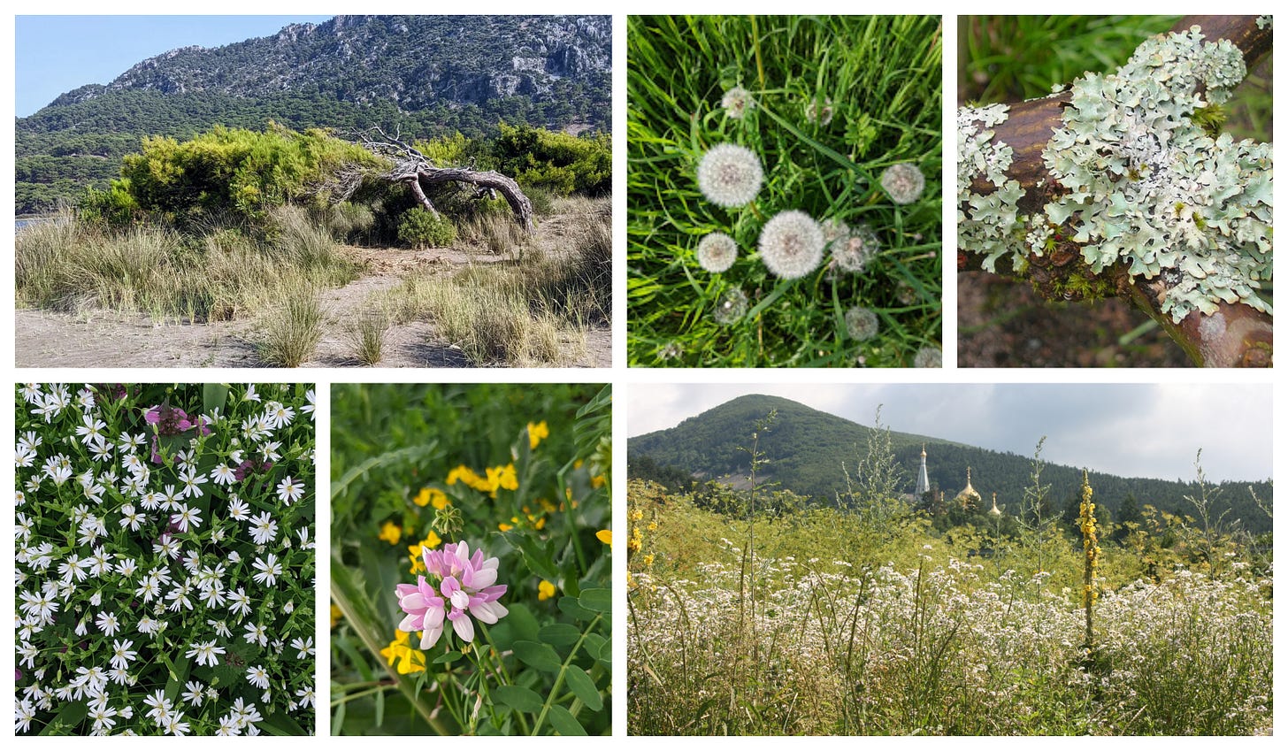 Balkan Ecology Project