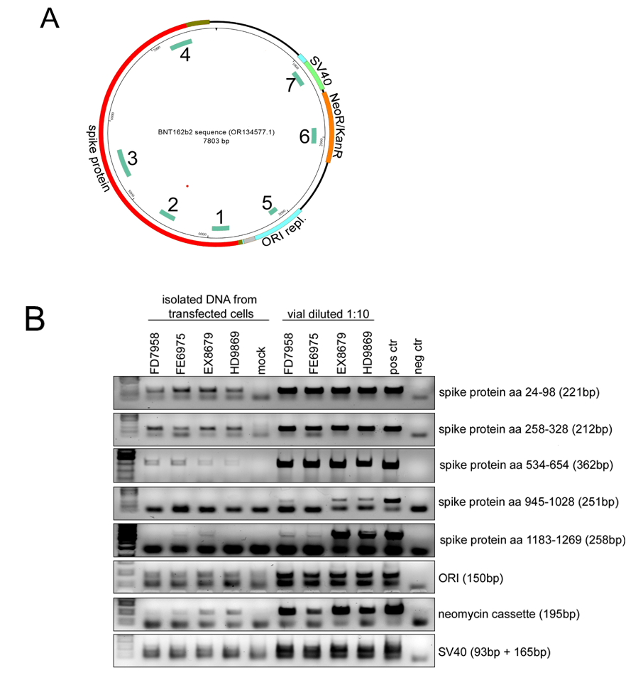 A new paper confirms presence of DNA in COVID-19 shot vials, settles ...