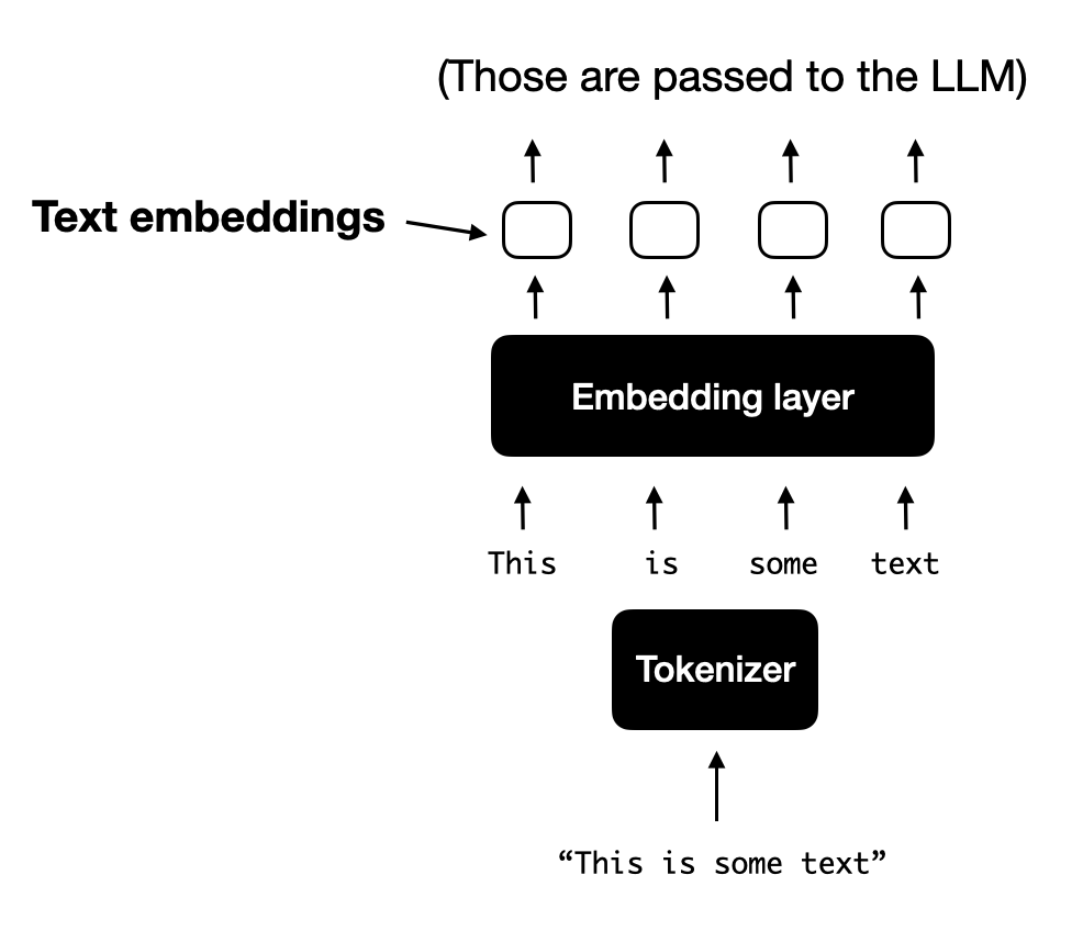 Understanding Multimodal LLMs - by Sebastian Raschka, PhD