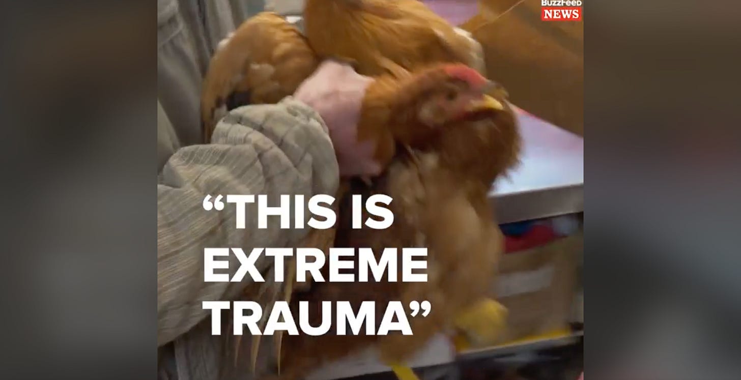 The Rise of Mass Open Rescue - by Wayne Hsiung