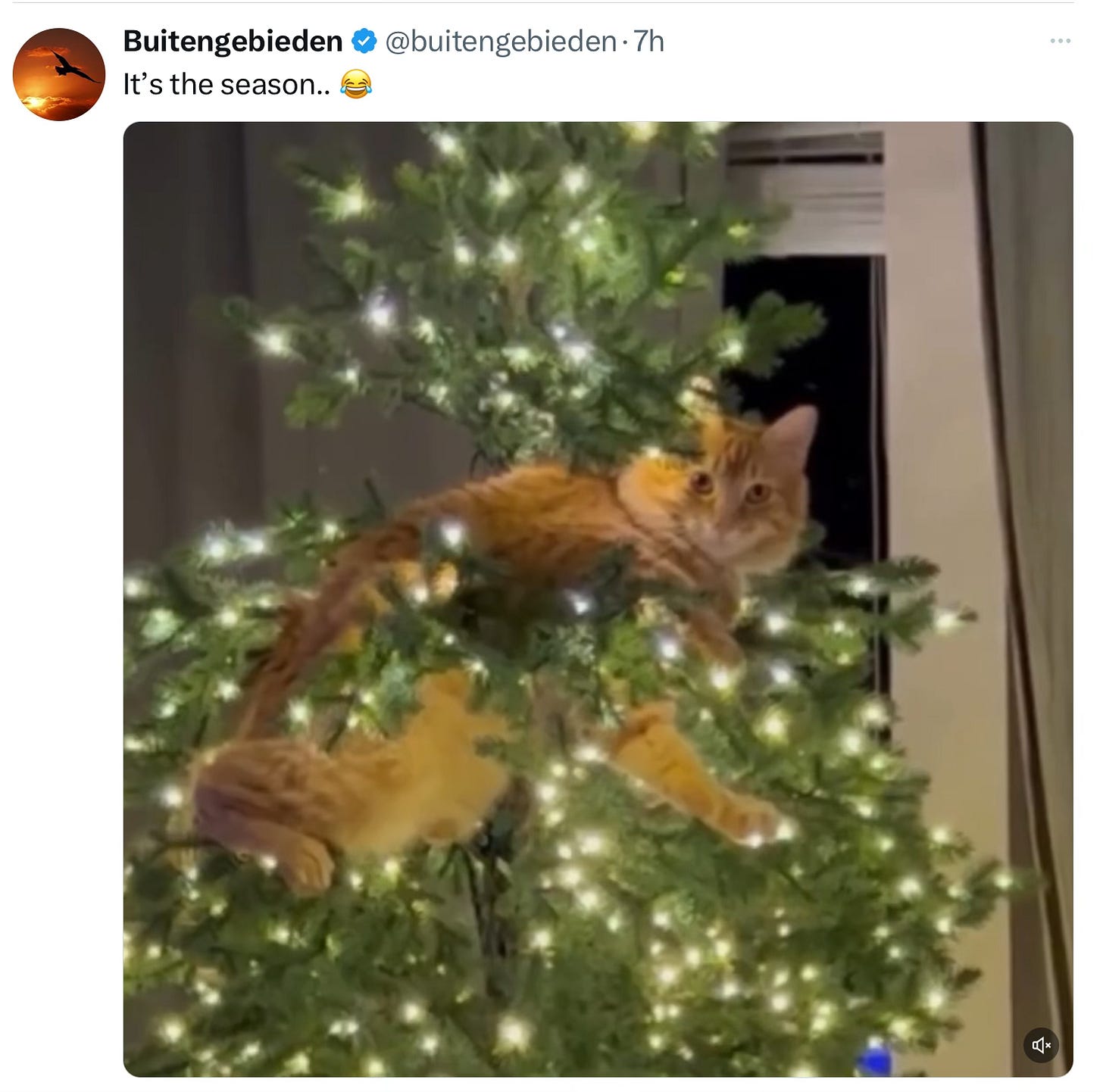 Just for “Skeets” and Giggles - by Jay Kuo - The Status Kuo