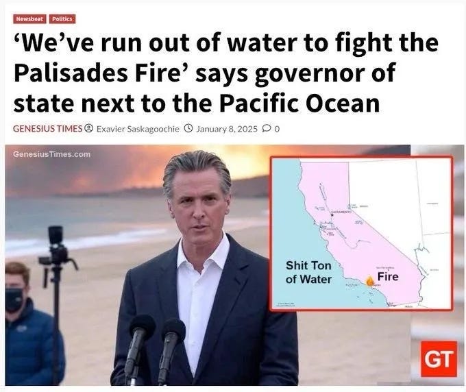 Ann Barnhardt Meme Barrage - Edwin’s Newsletter #1