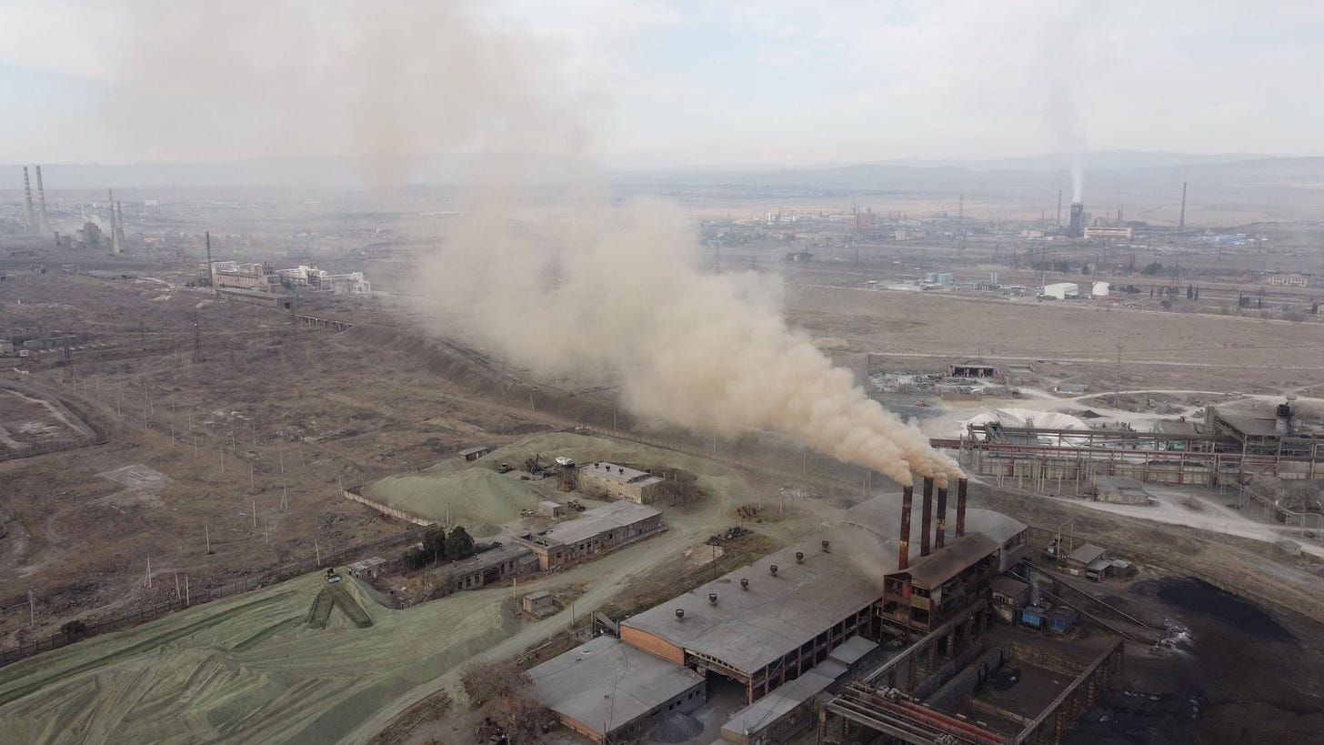 From Garage to Greenhouse - by Sarah Cowles - Ruderal