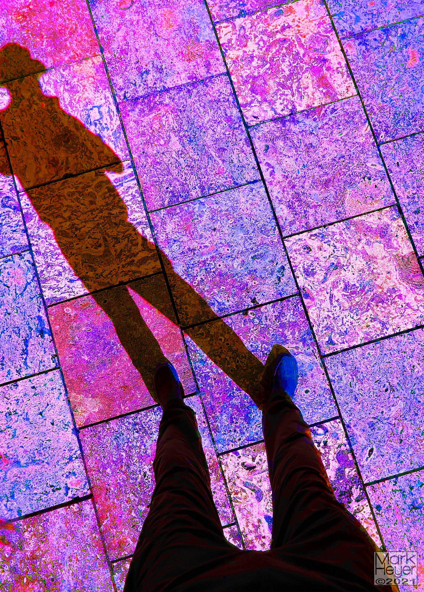 Our Shadow-Past - by Mark Heyer