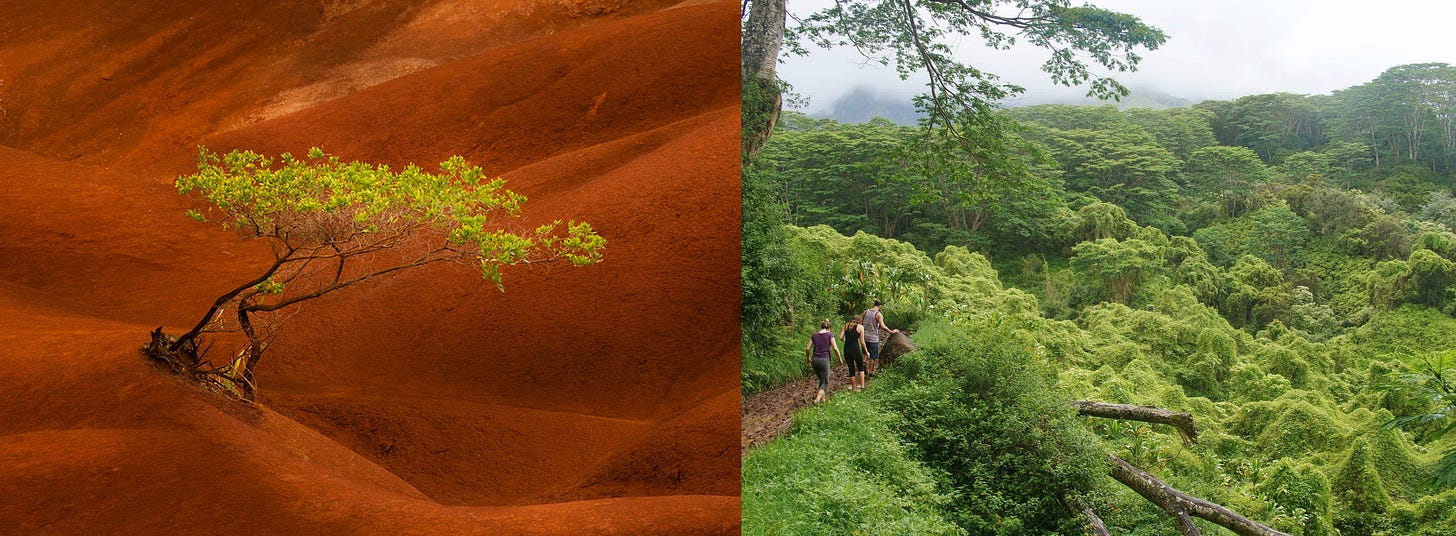 The Rain Shadow Effect - by Tomas Pueyo