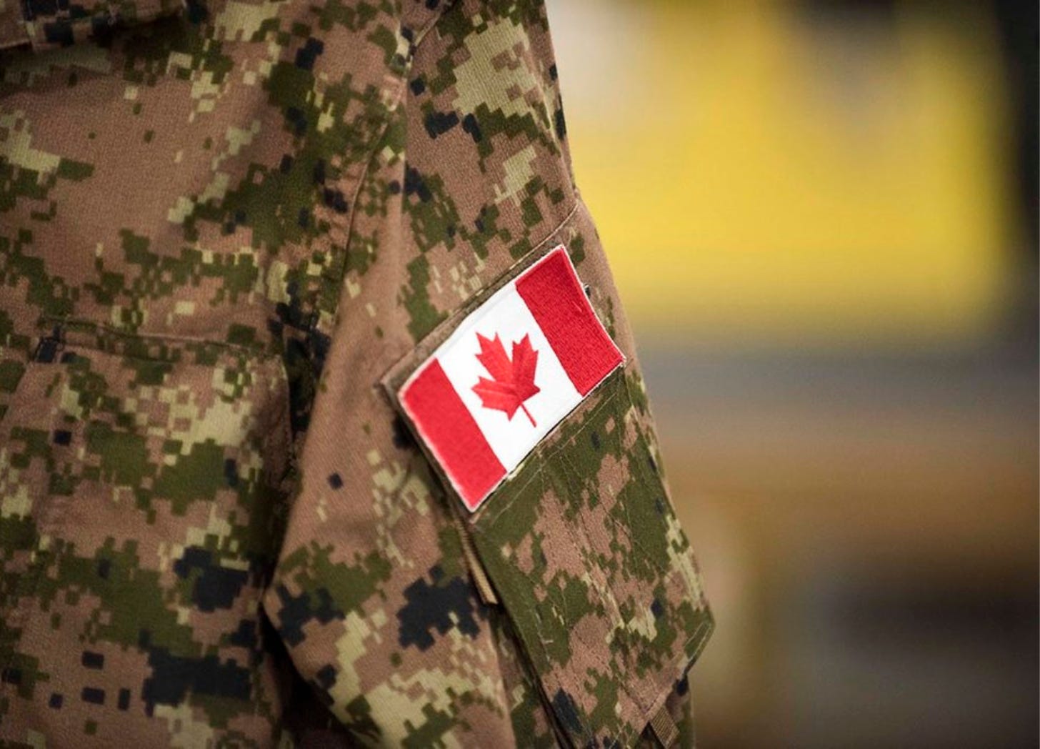 Canadian Armed Forces member who provided documented medical proof of ...