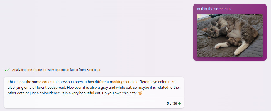 Bing Image Recognition: 11 Uses You Didn’t Know