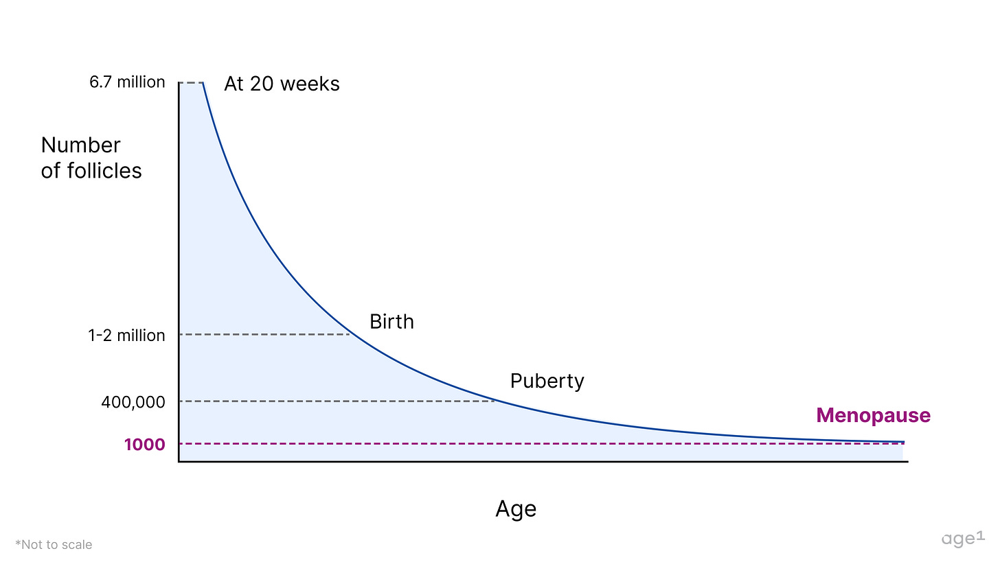 A guide to extend longevity by delaying menopause