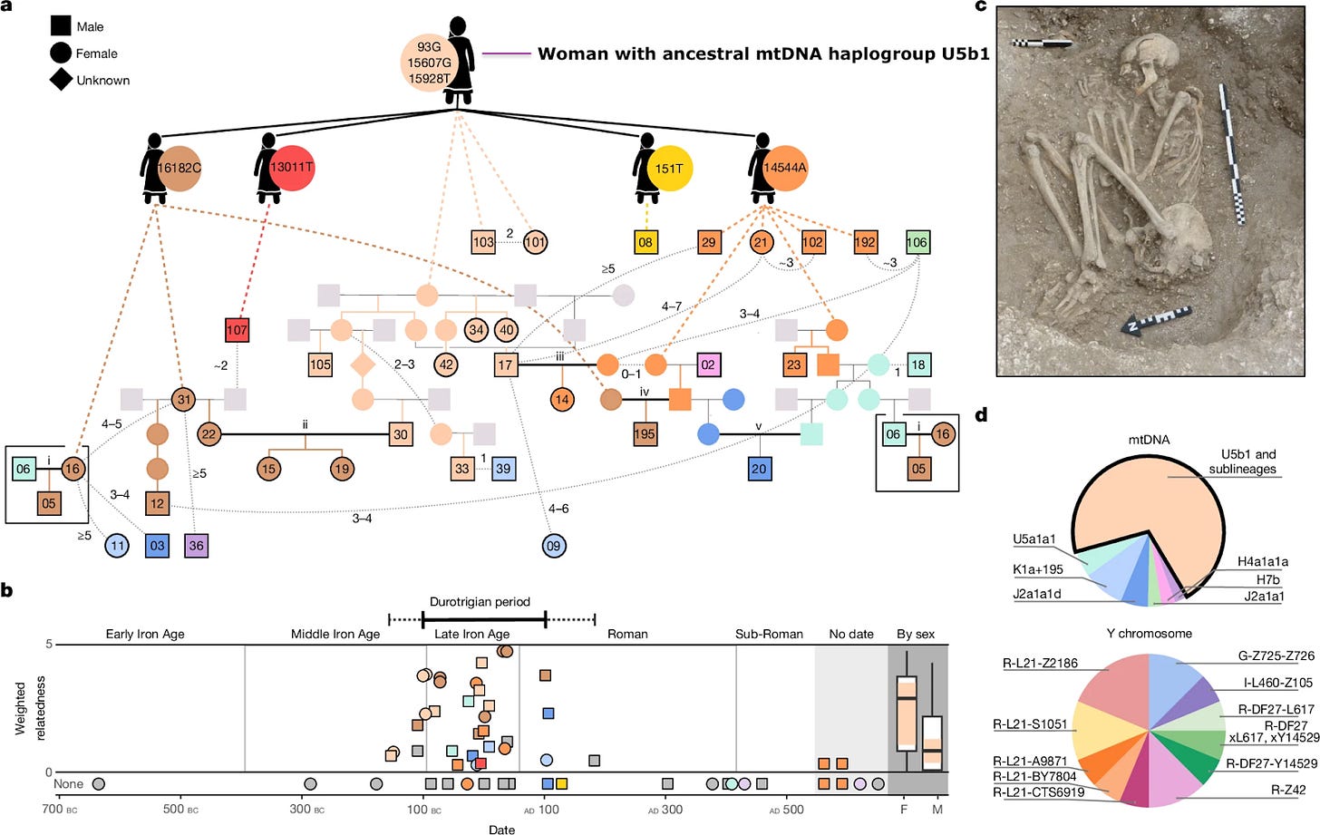 Where Queens Ruled: ancient DNA confirms legendary Matrilineal Celts ...