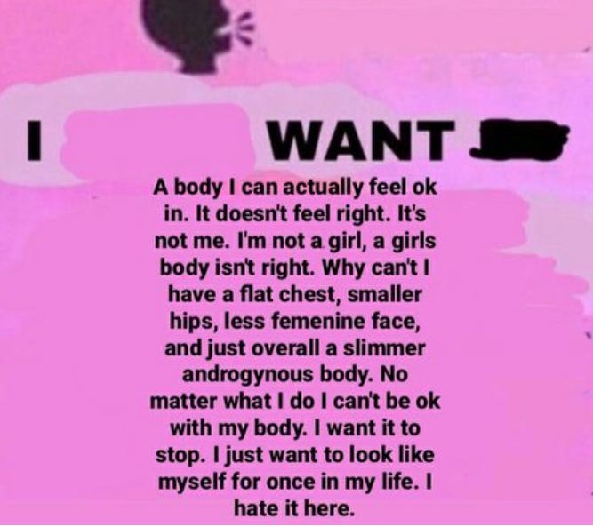 A Partial Explanation of Zoomer Girl Derangement