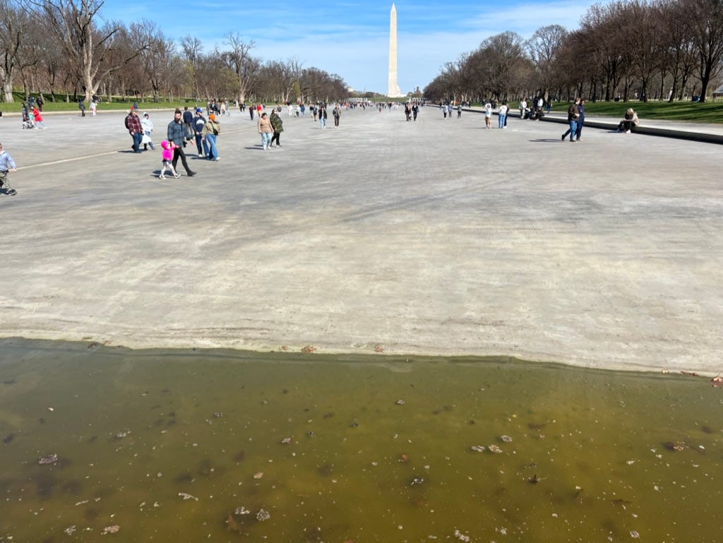 Why is the D.C. Reflecting Pool Empty? - by Emily Miller