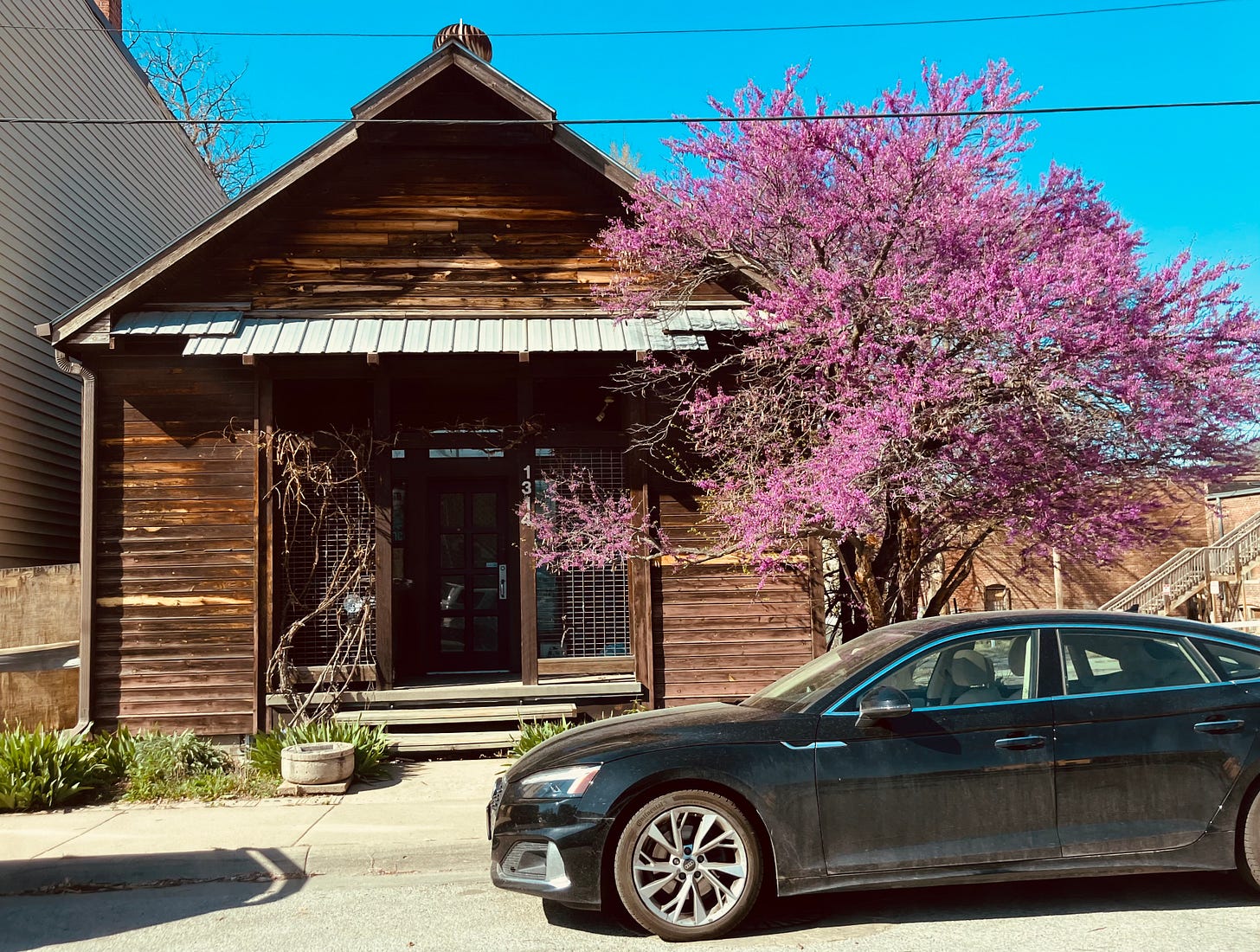 Watie White on The Art of Portraiture - by Tony Bock