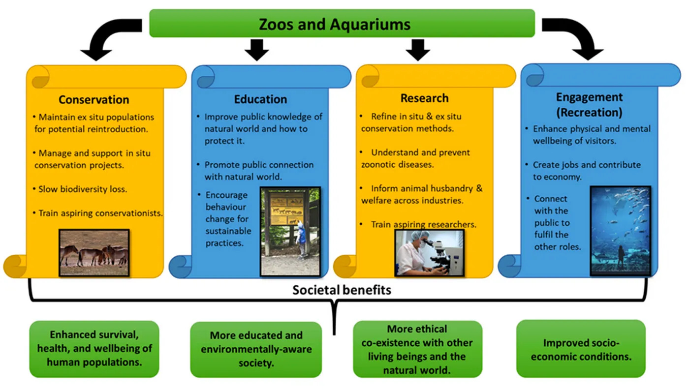 How Zoos Benefit Society And The Animals They Protect