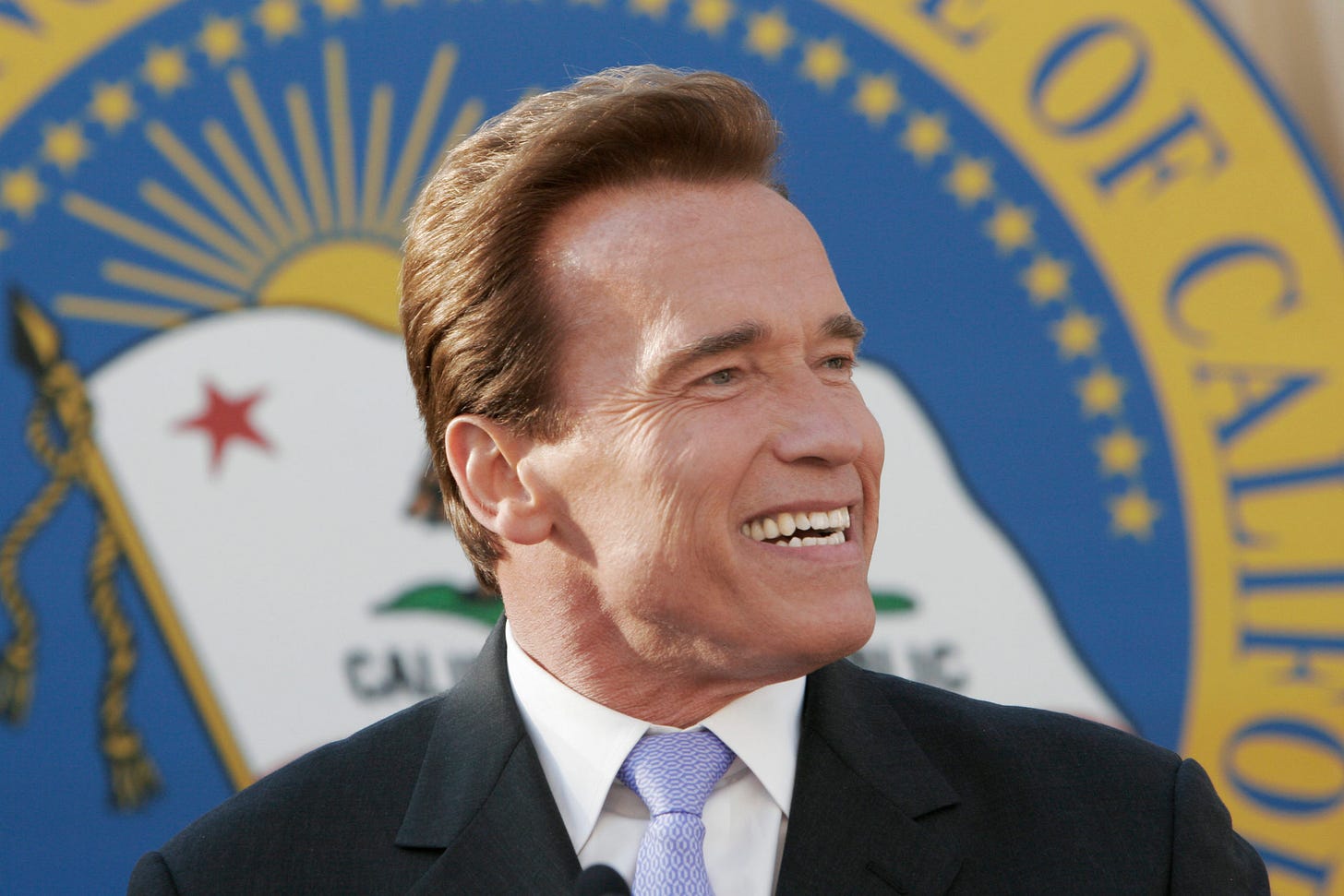 Arnold, el documental de Schwarzenegger sobre su rol como ...