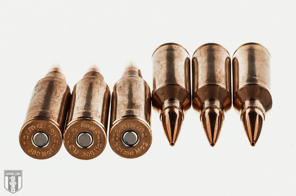 Ammo Cost & Availability