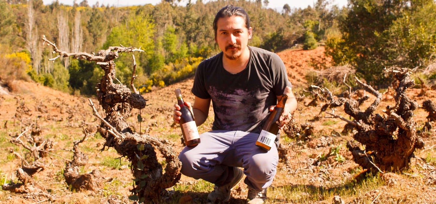Roberto Henriquez revives Chile's pipeño tradition