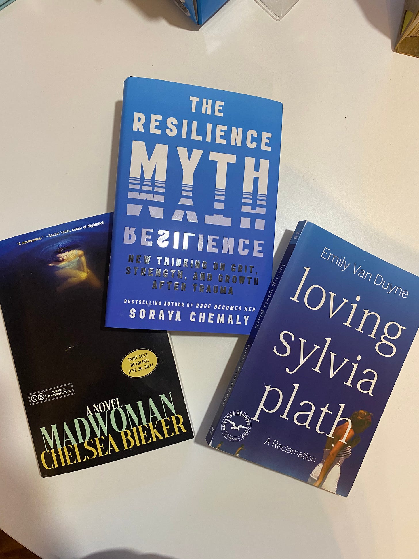 Summer reading lists for grownups - by Amanda Montei