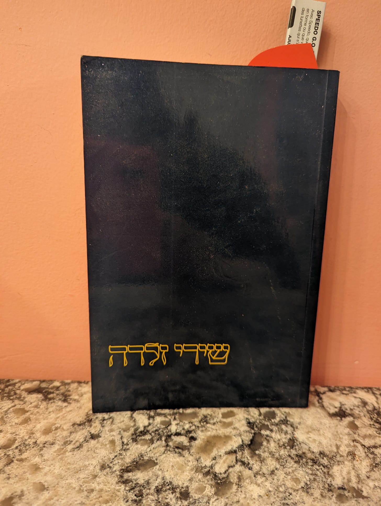 A Poem, Broken & Whole - by Aviya Kushner