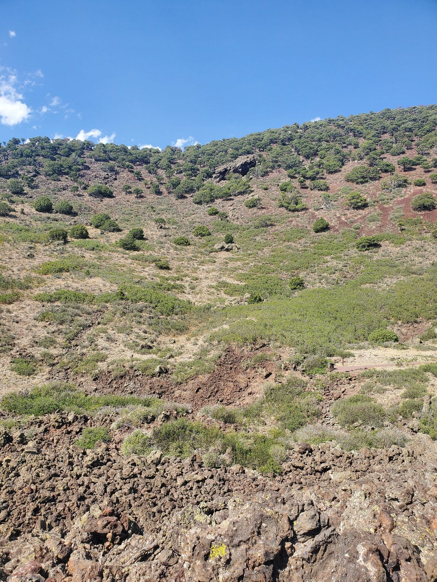 A Quick Stop at Capulin Volcano National Monument