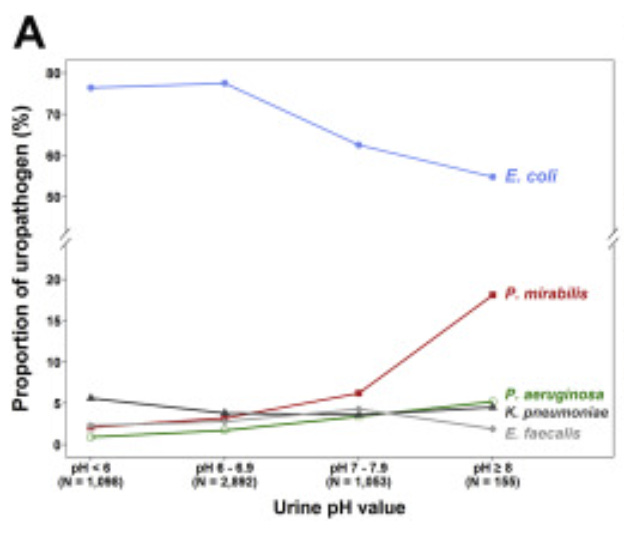 Prevent Kidney Stones (and UTIs?) by Optimizing Urine pH