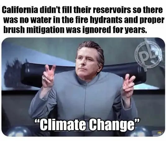 Ann Barnhardt Meme Barrage - Edwin’s Newsletter #1