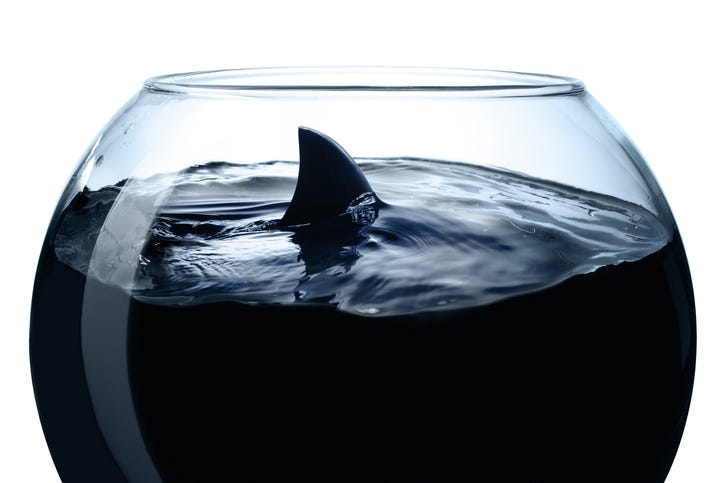 Sharks in the Canals - by Joel Bowman