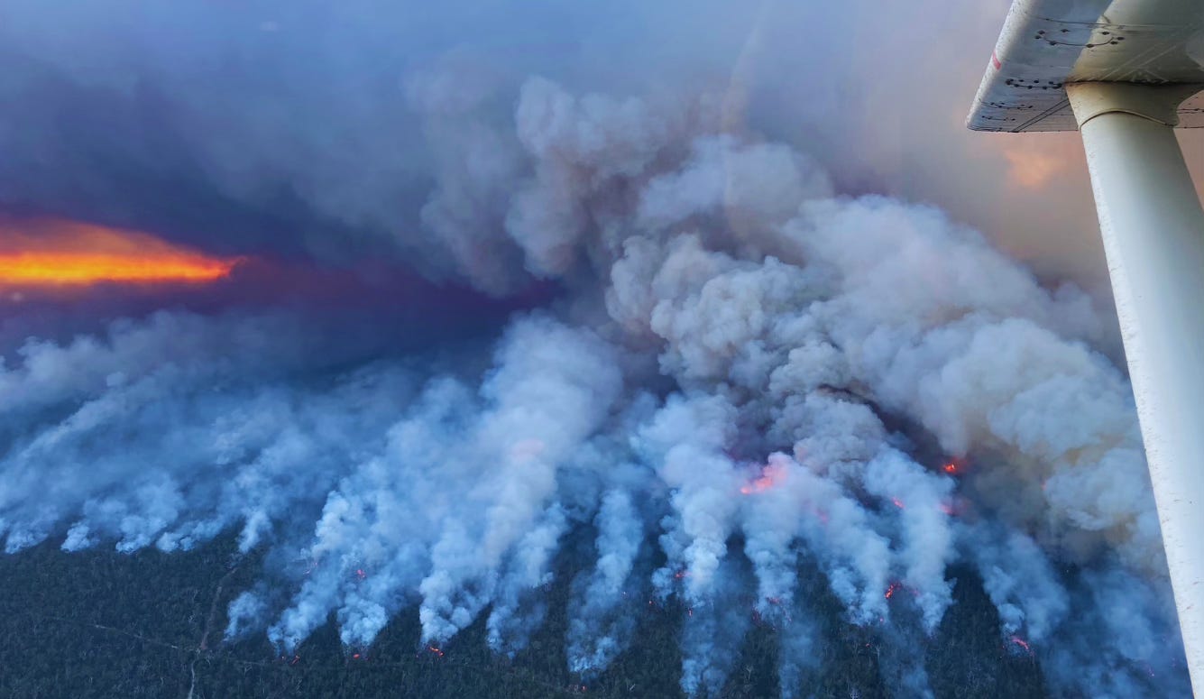 Fighting Fire with Fire - Quillette’s Substack