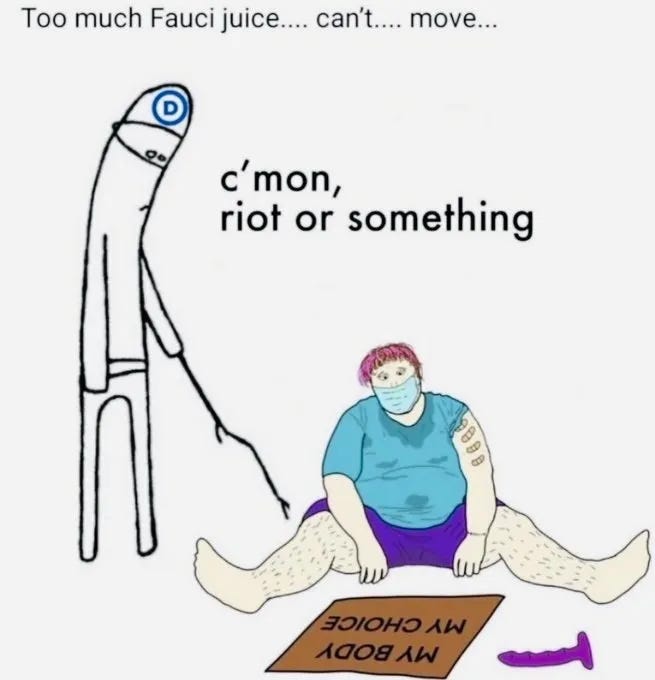 Ann Barnhardt Memes - Edwin’s Newsletter #1