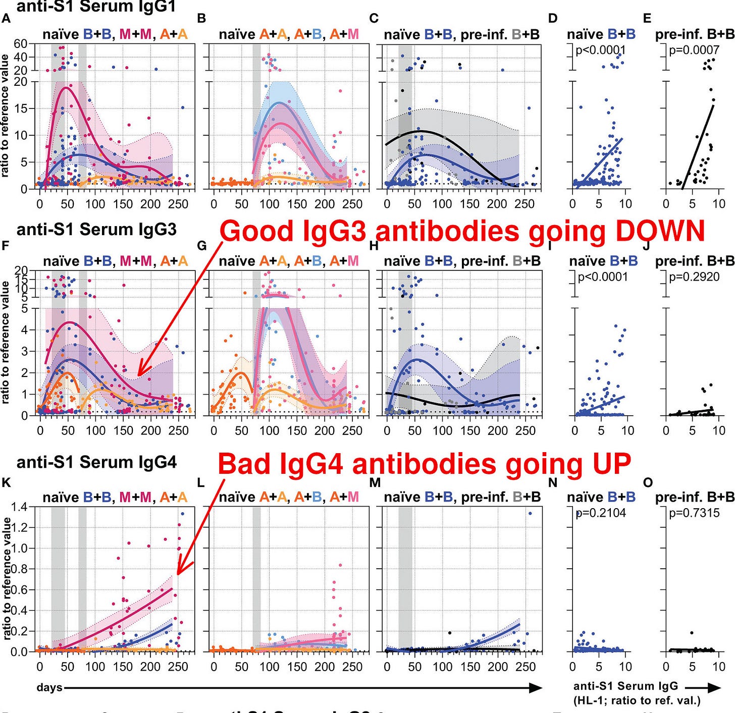Immune Tolerance: IgG4 Class Switch Starts with Even Two Doses of mRNA ...