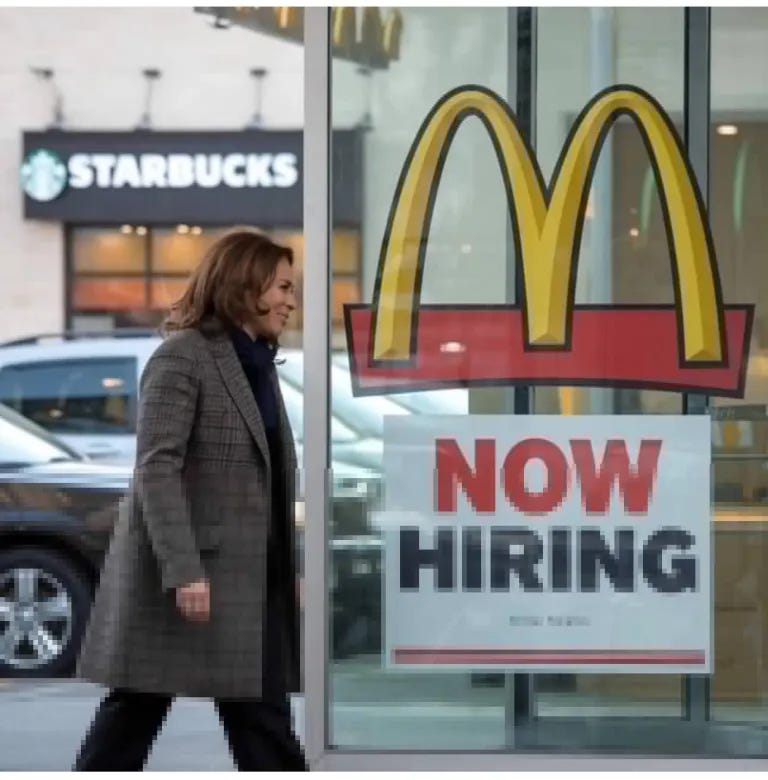 Ann Barnhardt Memes - Edwin’s Newsletter #1