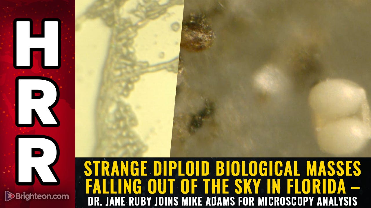 Poisonous FOG: Microscopic Analysis Suggests Unknown BIOLOGICAL ...