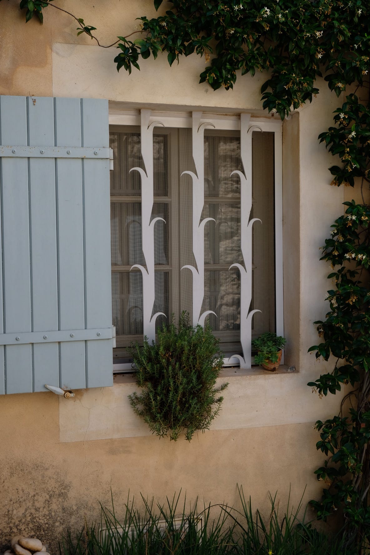A week in Provence - by Eleanor Cording-Booth