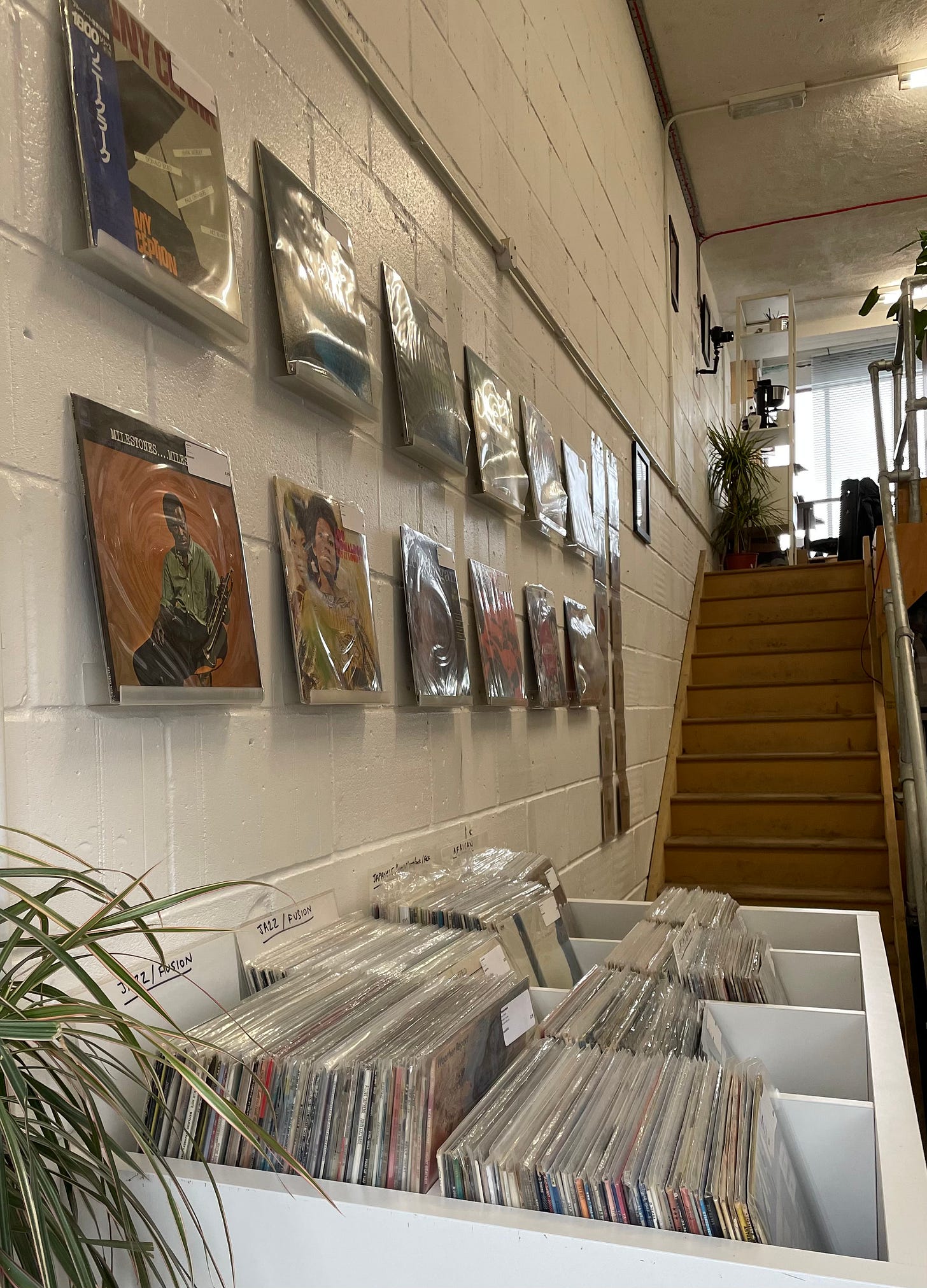 Record Shop Story 2: Rook Records review, Hackney Wick