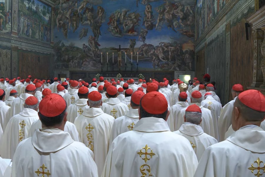 Leo XIV: Petrine ministry is a cross and a blessing