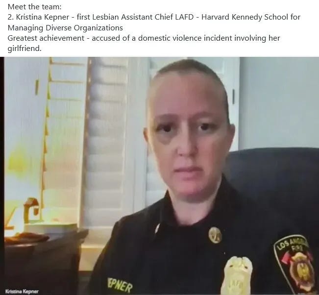 Ann Barnhardt Meme Barrage - Edwin’s Newsletter #1