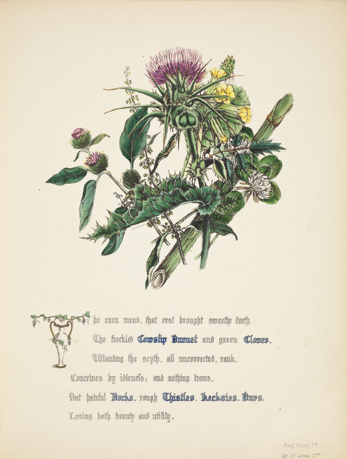 The Shakespeare Garden: Jane Elizabeth Giraud's Posies and Elizabethan ...