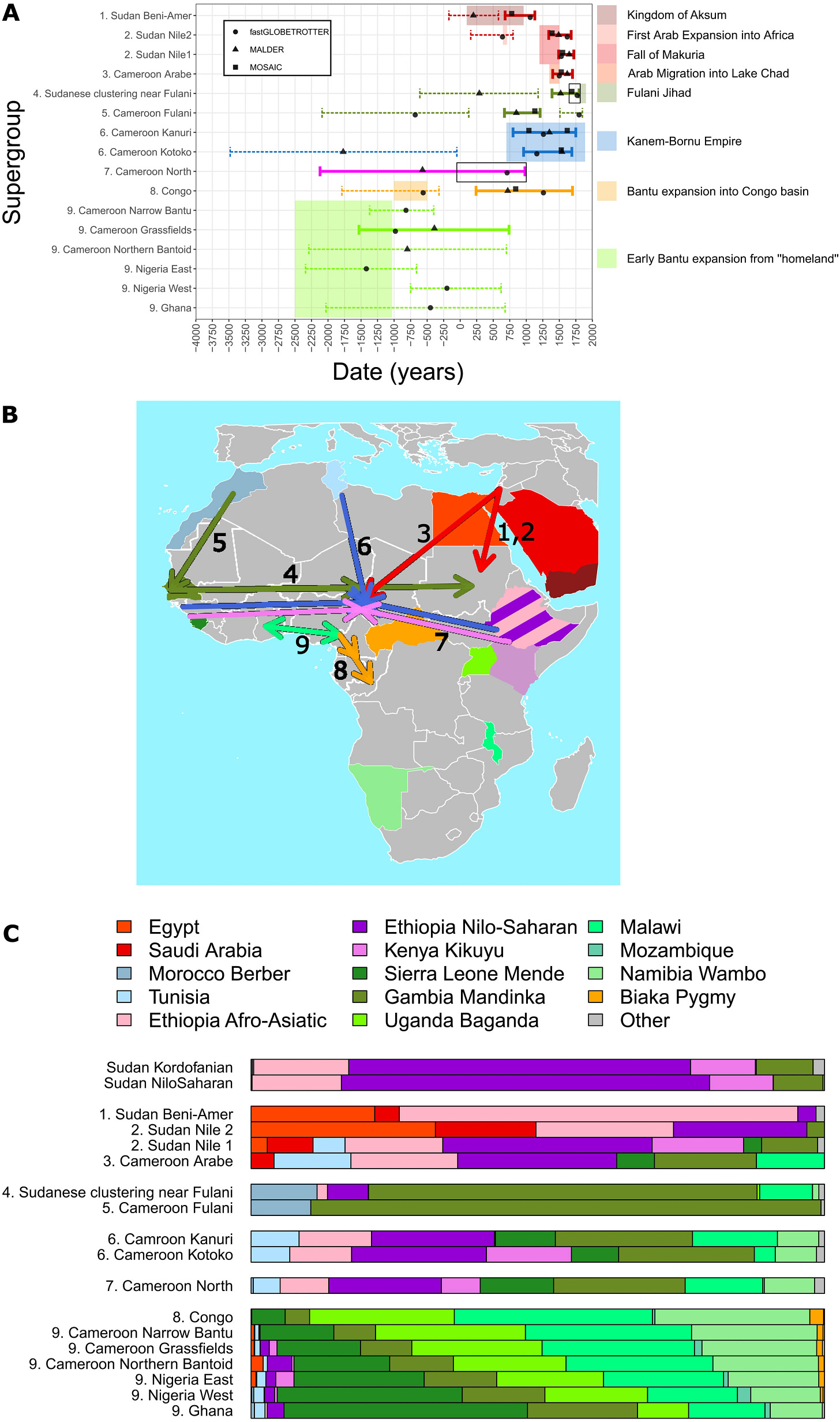 A detailed look at the genetic makeup of ethnic groups within African ...