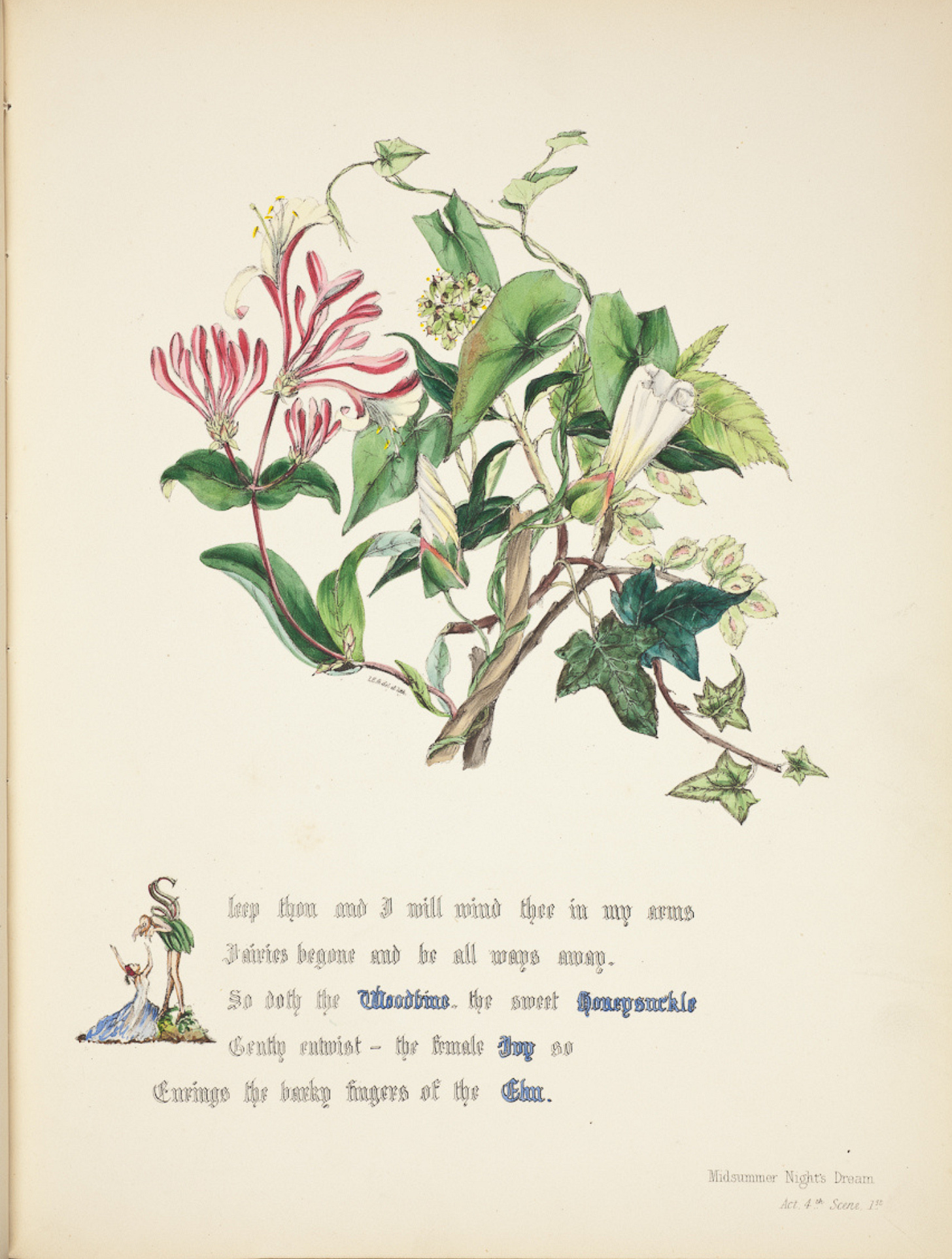 The Shakespeare Garden: Jane Elizabeth Giraud's Posies and Elizabethan ...