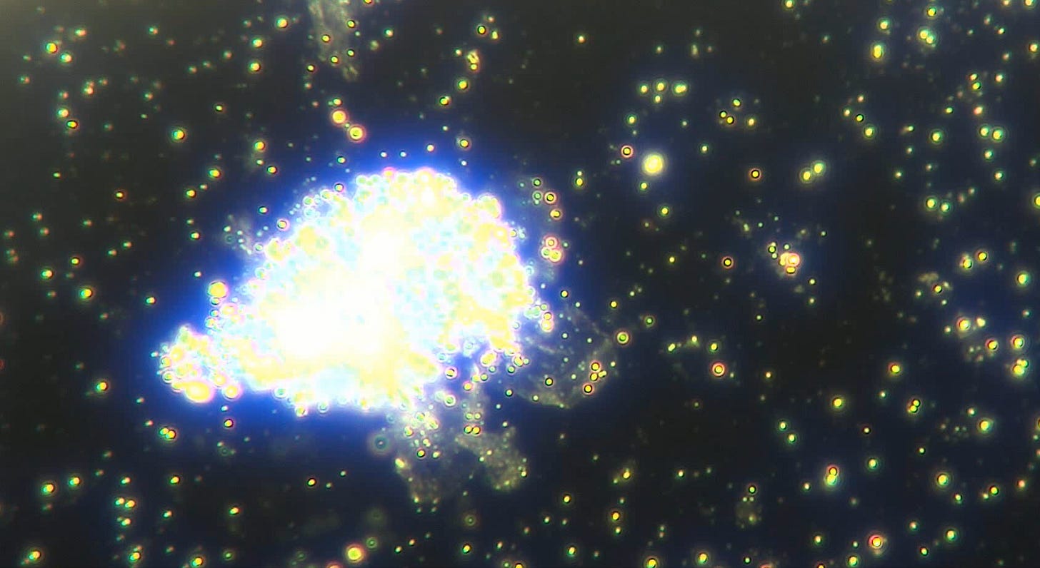 Meslinger, kusma, Rubella og Varicella vaksine for barn viser Nanobot ...