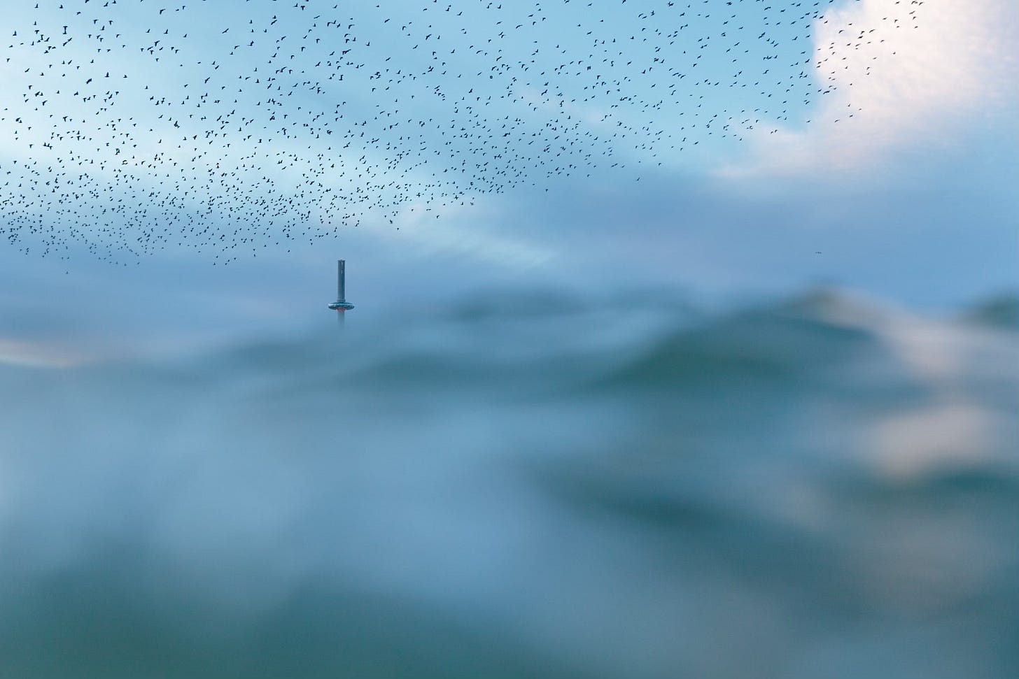 In the bird bath - by Finn Hopson - Now | Here | This