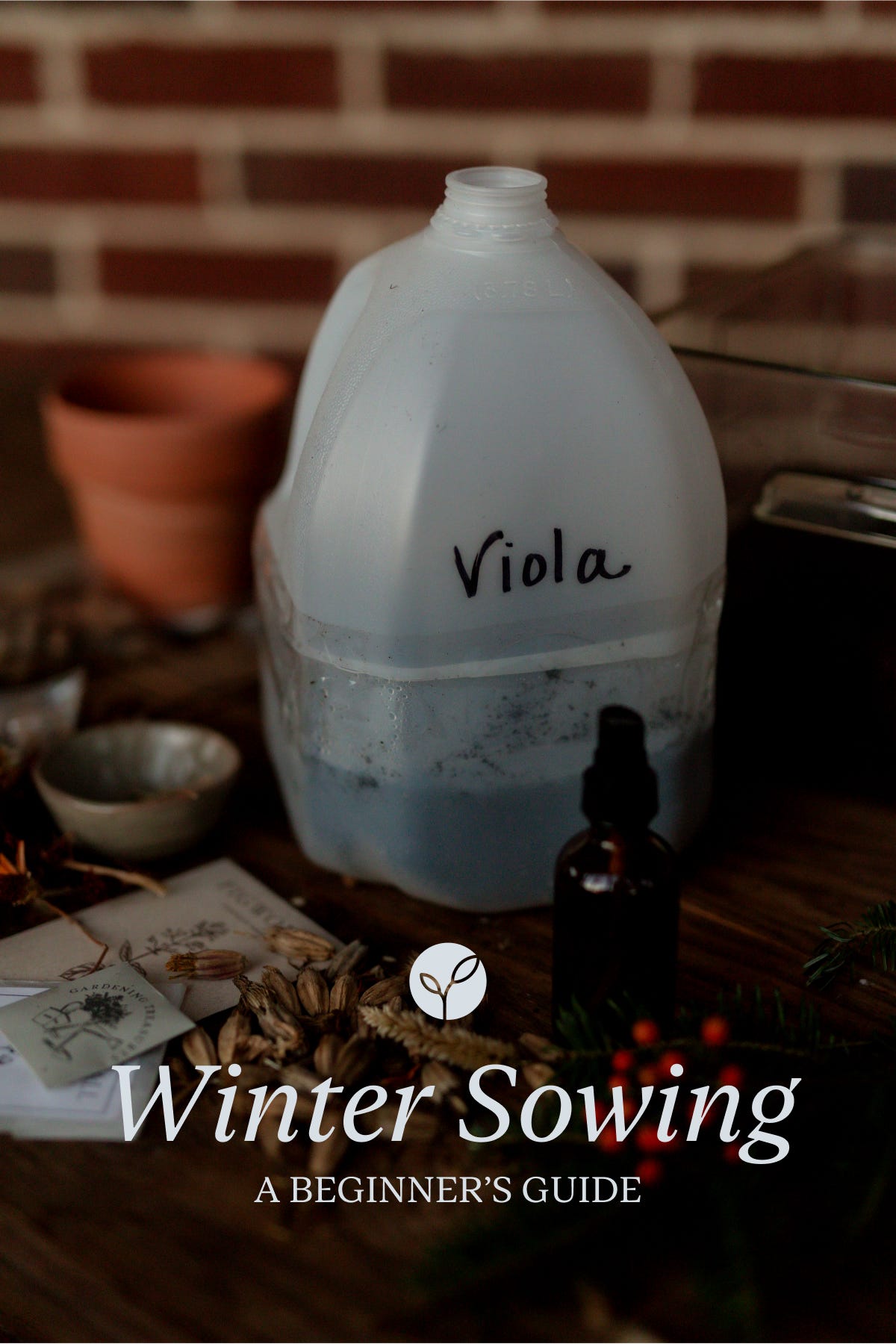 The Beginner's Guide to Winter Sowing - by Emily Leake