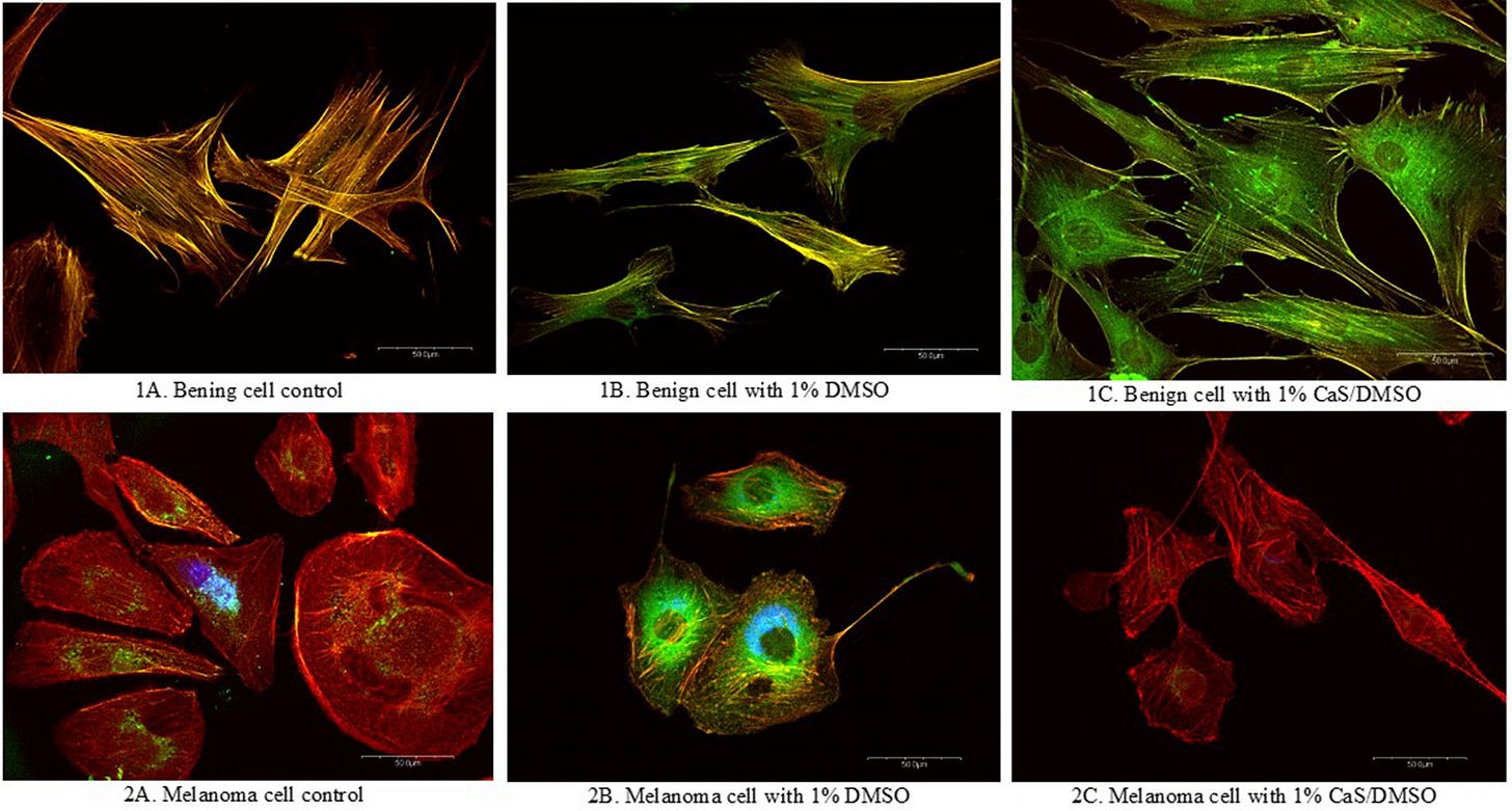 Hundreds of Studies Show DMSO Transforms The Treatment of Cancer