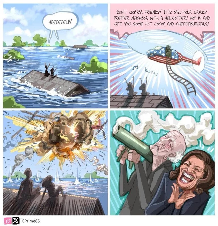 Ann Barnhardt Meme Barrage - Edwin’s Newsletter #1