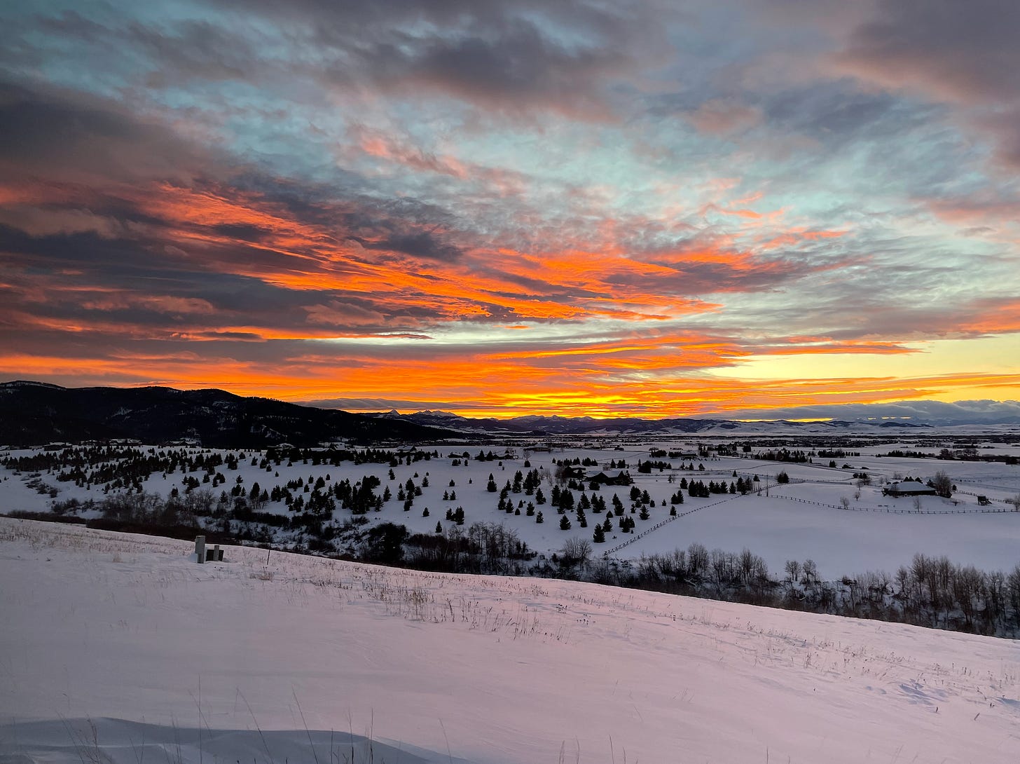 Life after Twitter - Lawrence Fossi’s Substack