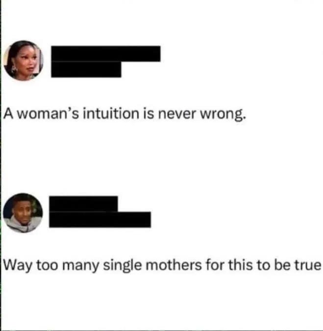 Ann Barnhardt Memes - Edwin’s Newsletter #1